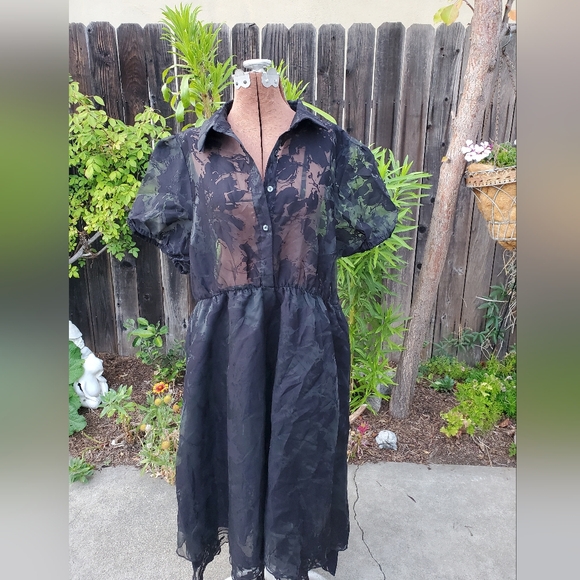 Disturbia | Dresses | Disturbia Elegant Black Sheer Dress | Poshmark